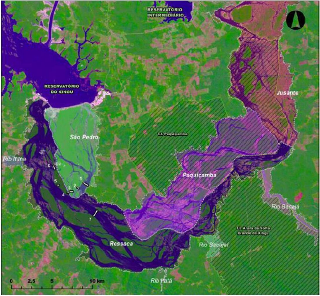 Belo Monte pretende construir mais de 3 km de muros no rio Xingu - Combate Racismo Ambiental